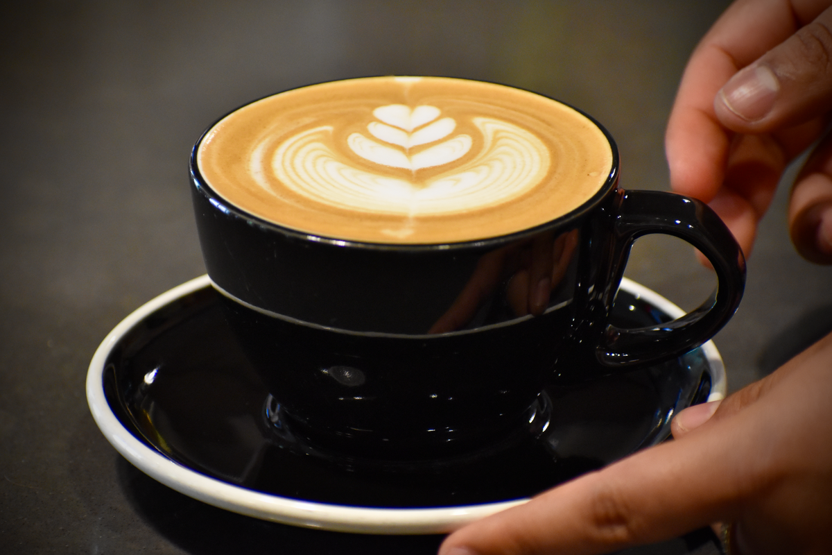 Home – 1951 Coffee Company
